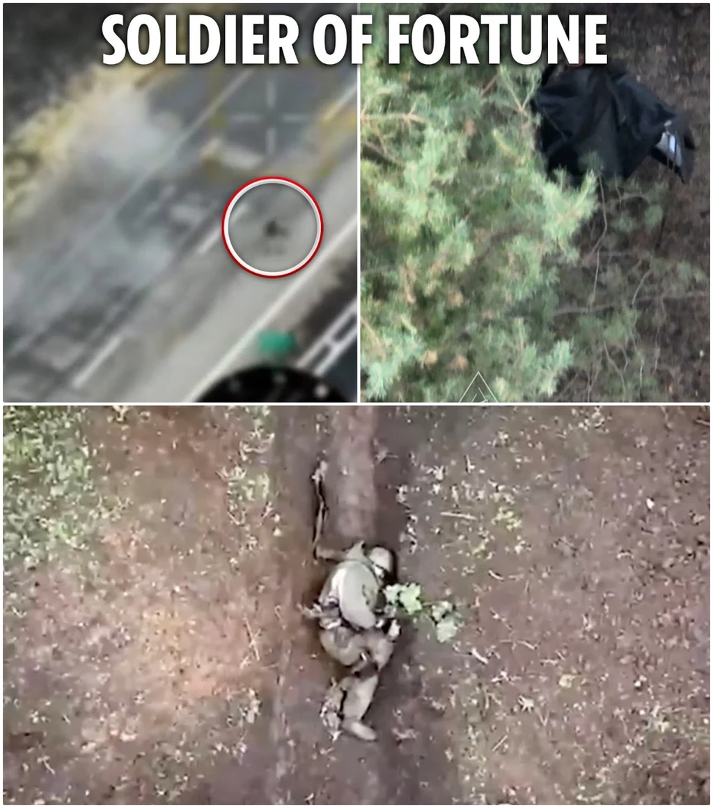 Amazing luck of Russian soldier escaping EIGHT drone attacks as ...